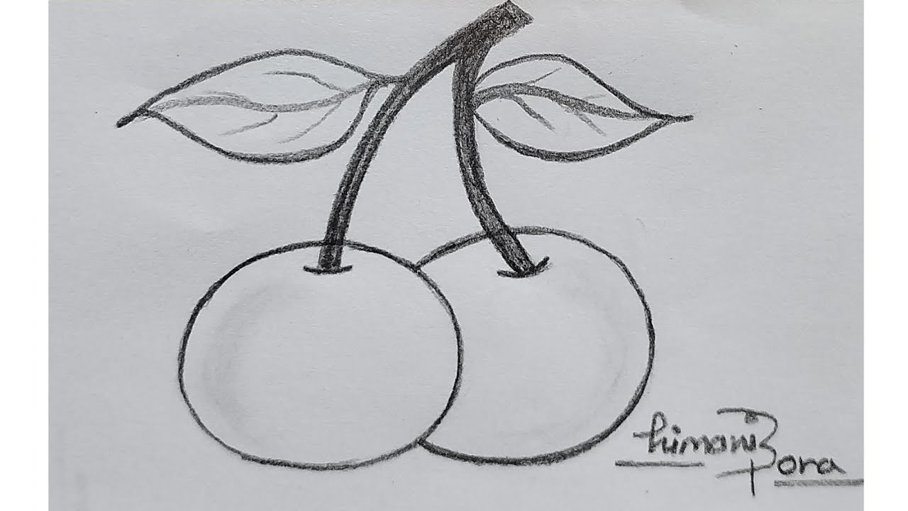 How to draw Cherry 🍒 / easy cherry drawing for beginners. - YouTube