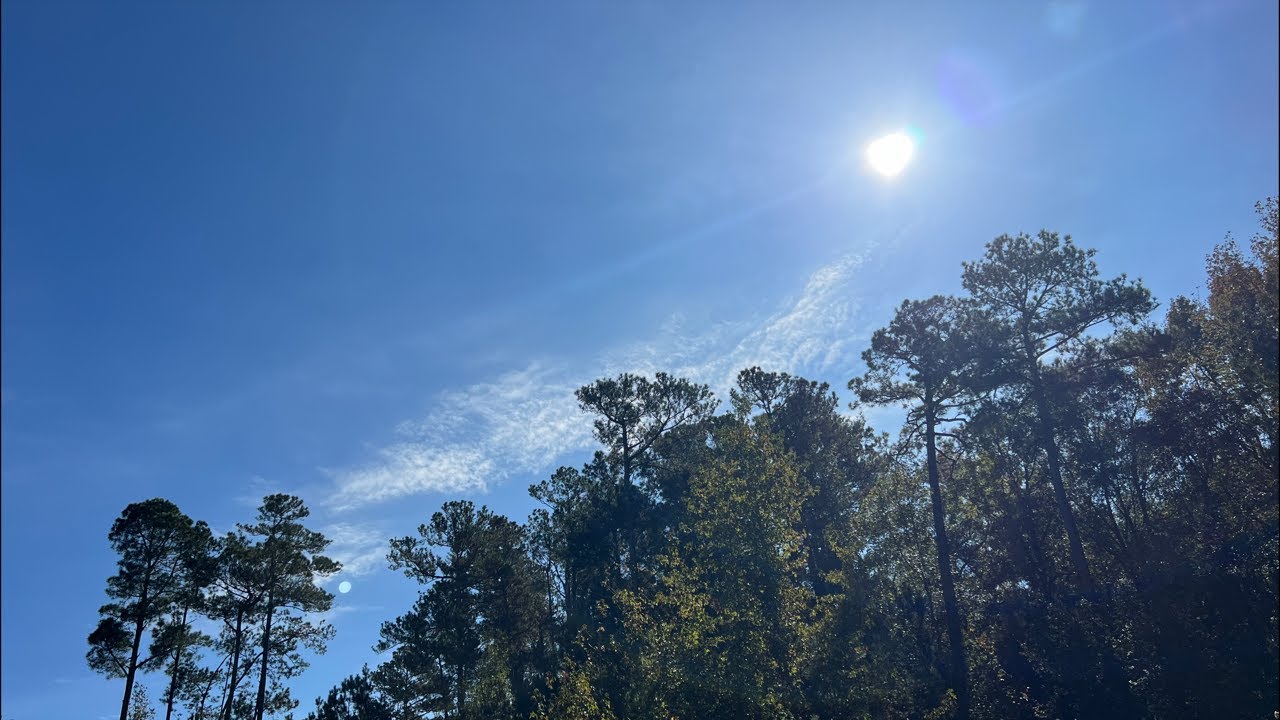 DO WE REALLY NEED IT⁉️or DO WE REALLY WANT IT⁉️LEAD LIVES‼️ - YouTube