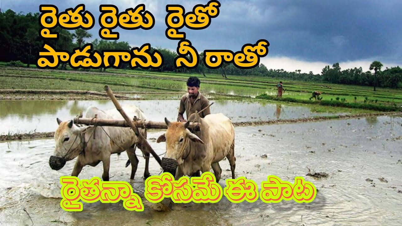 Raithu Raithu Raitho paduganu nee Ratho.....song || Telangana Raithu ...