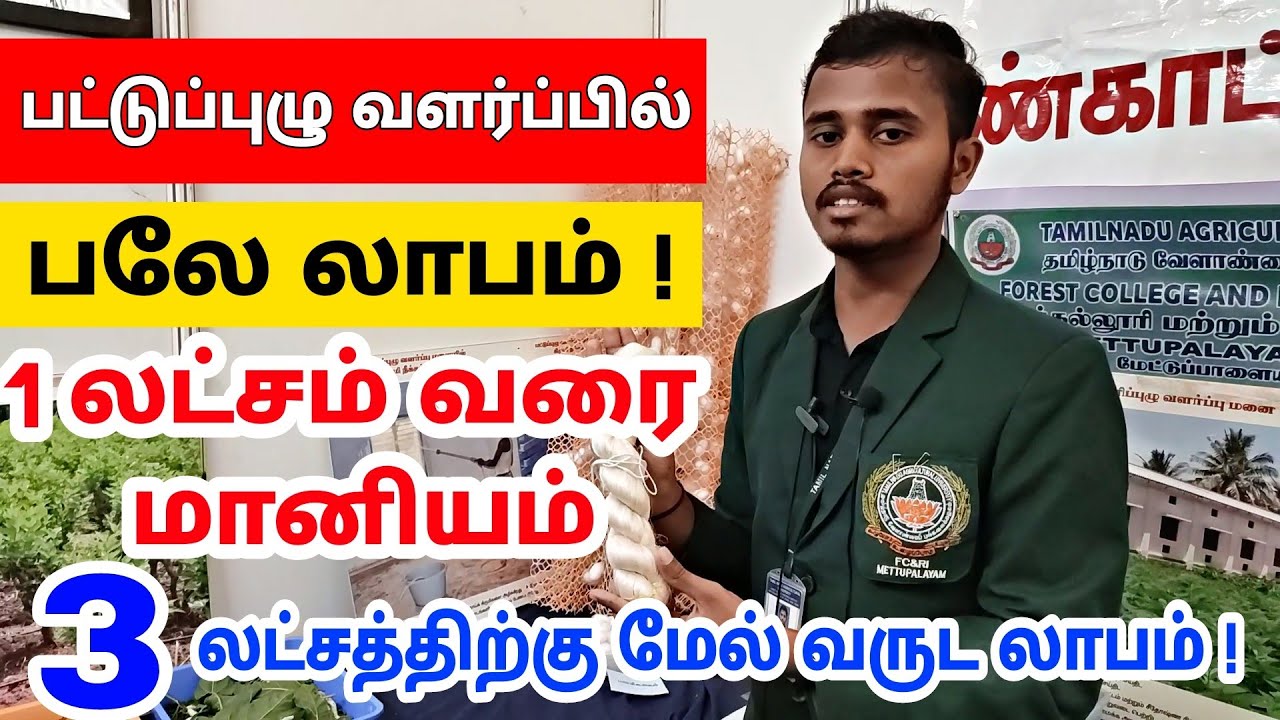 300000 மேல் நிரந்தர வருமானம் | பட்டுப்புழு வளர்ப்பு முறை | Sericulture ...