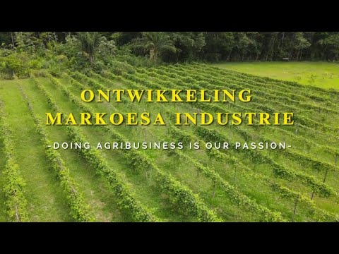 Promo Project Ontwikkeling Markoesa Industrie - YouTube