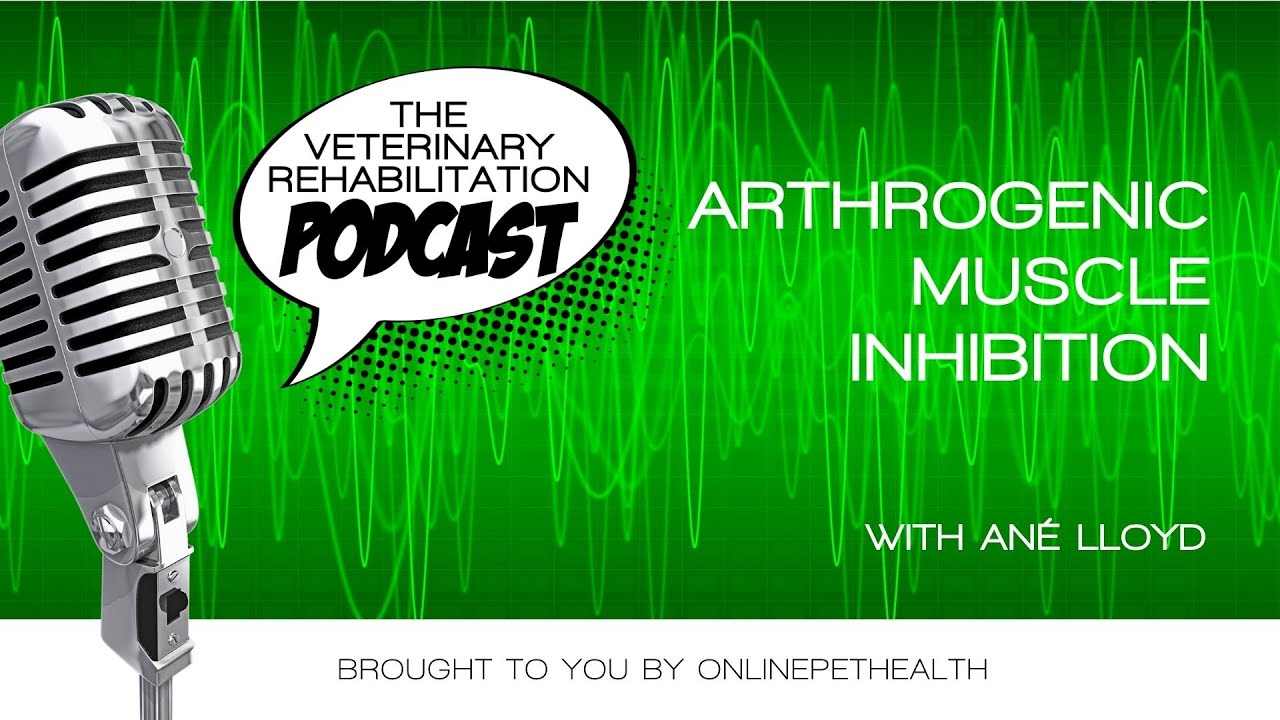 Arthrogenic Muscle Inhibition with Ané Lloyd - YouTube