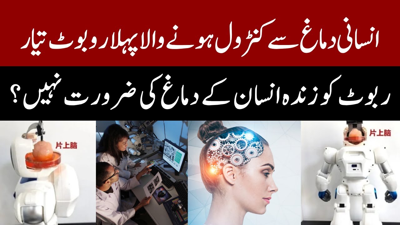 World's First Human Brain-Controlled Robot Developed - YouTube