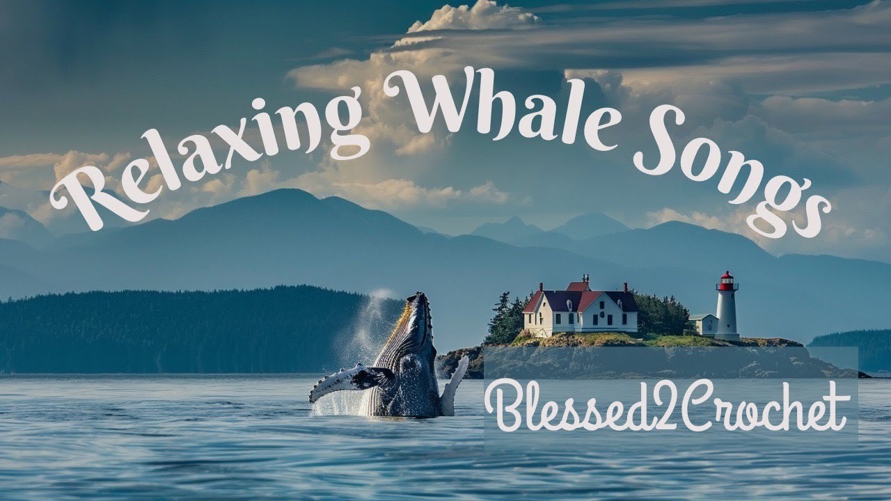 Relaxing Whale Song….Stay Connected Y’all! - YouTube