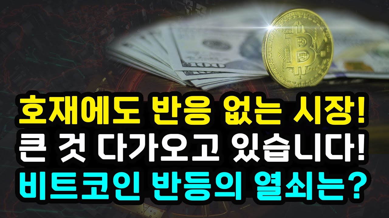 비트코인 리플 솔라나 시장 호재에도 반응이 없는 이유 트럼프발 관세 이슈 확전되는 상황 스테이블코인 시가총액 꾸준한 증가