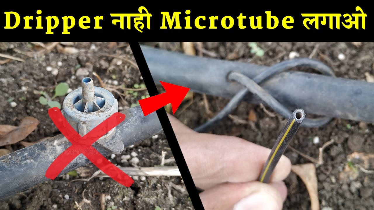 2 mm MICRO TUBE Drip Irrigation System installation | Thibak Sinchan ...