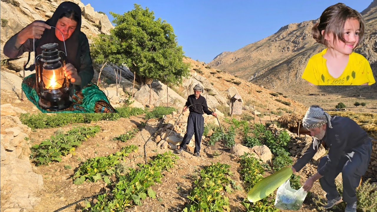 Nomadic Life: Secrets of Nomadic Gardening | Life in the Heart of the Zagros Mountains - YouTube