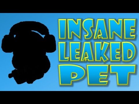 INSANE!!! NEW LEAKED Pet Coming to Boddle!!! - YouTube
