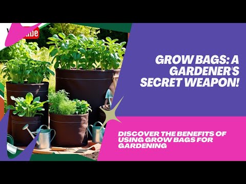 The gardening process started from the beginning 😁.... - YouTube