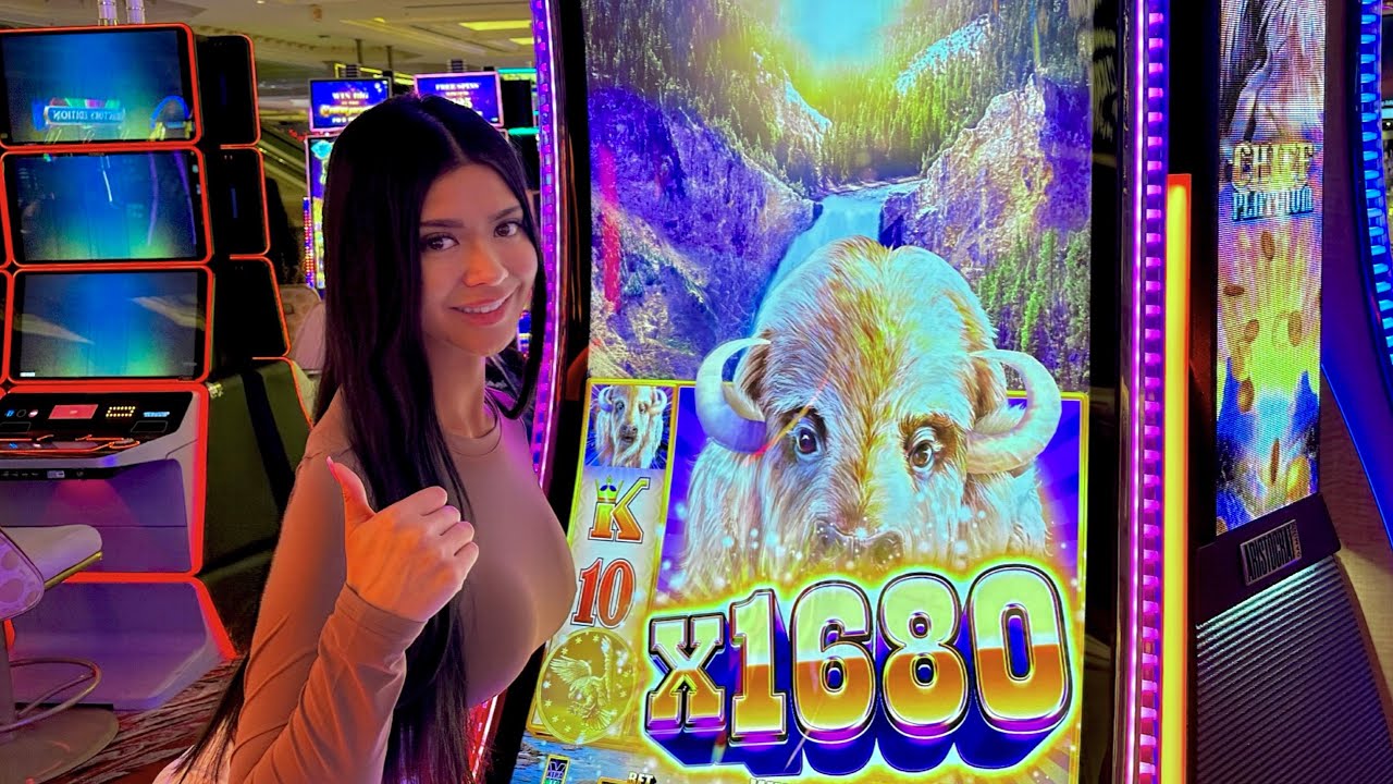 MY MOST SENSATIONAL **EPIC BUFFALO WIN** YET!🥳🎉💰💵 - YouTube