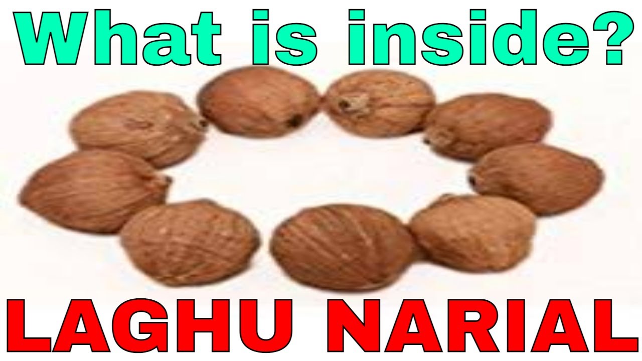 Laghu Nariyal Laxmi Phal Mini Coconut Shreephal Mahalakshmi coconut ...