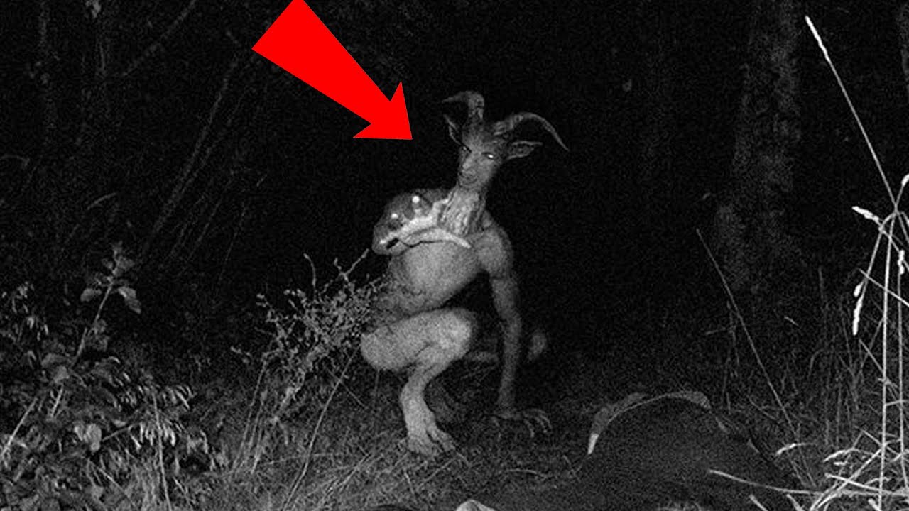 Most Disturbing Trail Cam Captures No One Supposed To See - YouTube