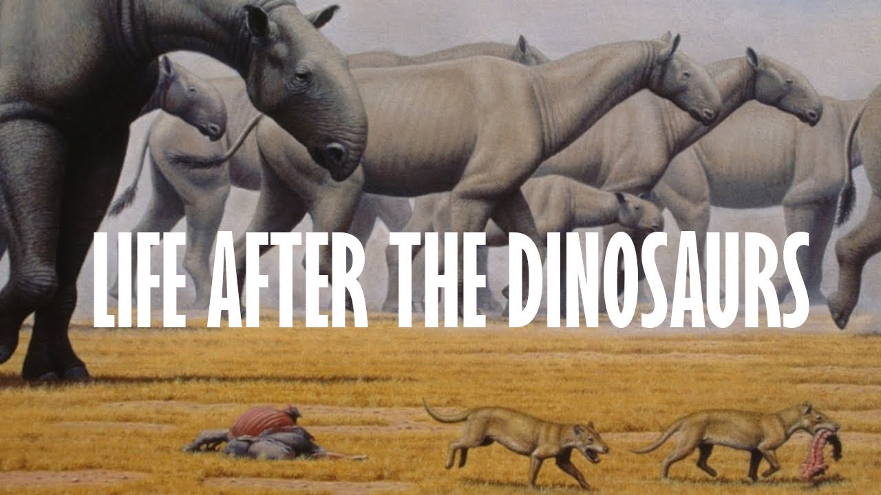 The Paleogene | The beginning of a new era... - YouTube