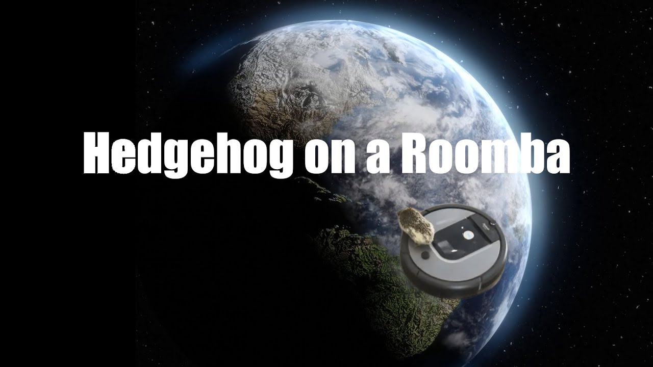 Dusty Douglas - Hedgehog on a Roomba [Official Music Video] - YouTube