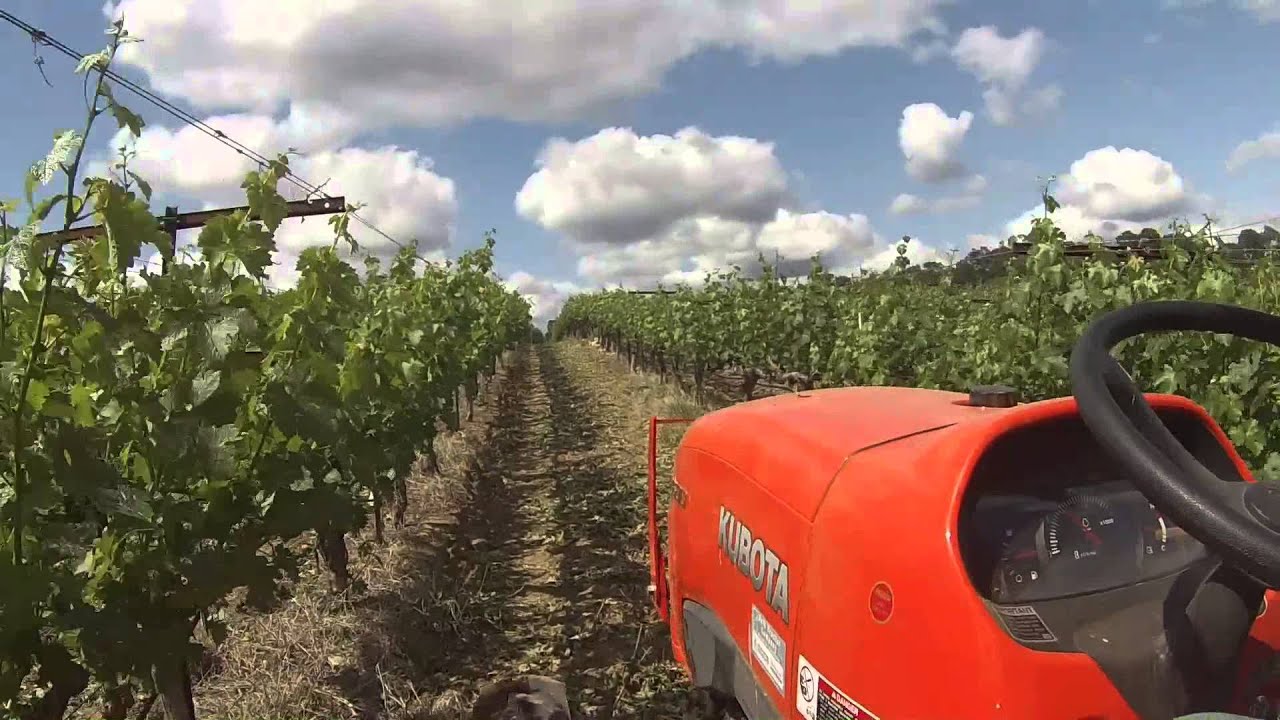 Discing the Vinyard May '14 - YouTube