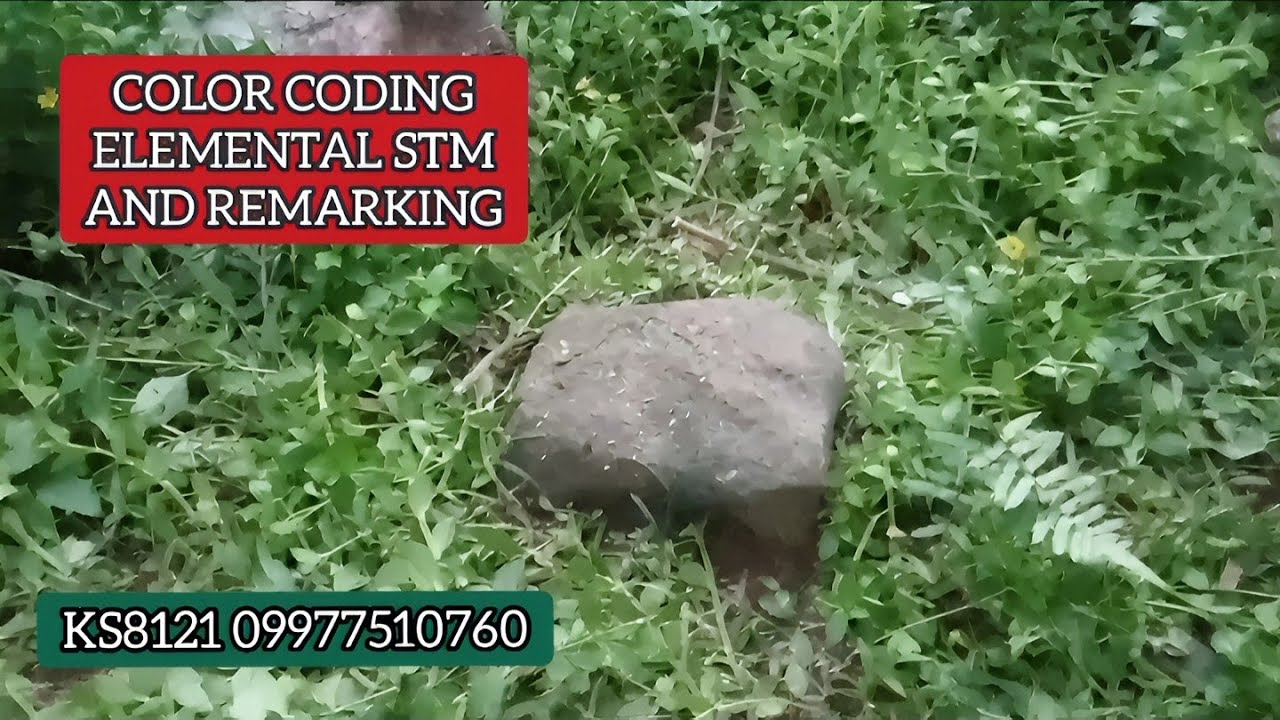 Elemental Remarking And Color Coding Remapping - YouTube