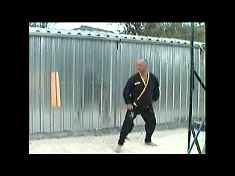 Grand Sensei Commissario Orlando Guerra Domina il vento 2 Tegole 12 8 2012