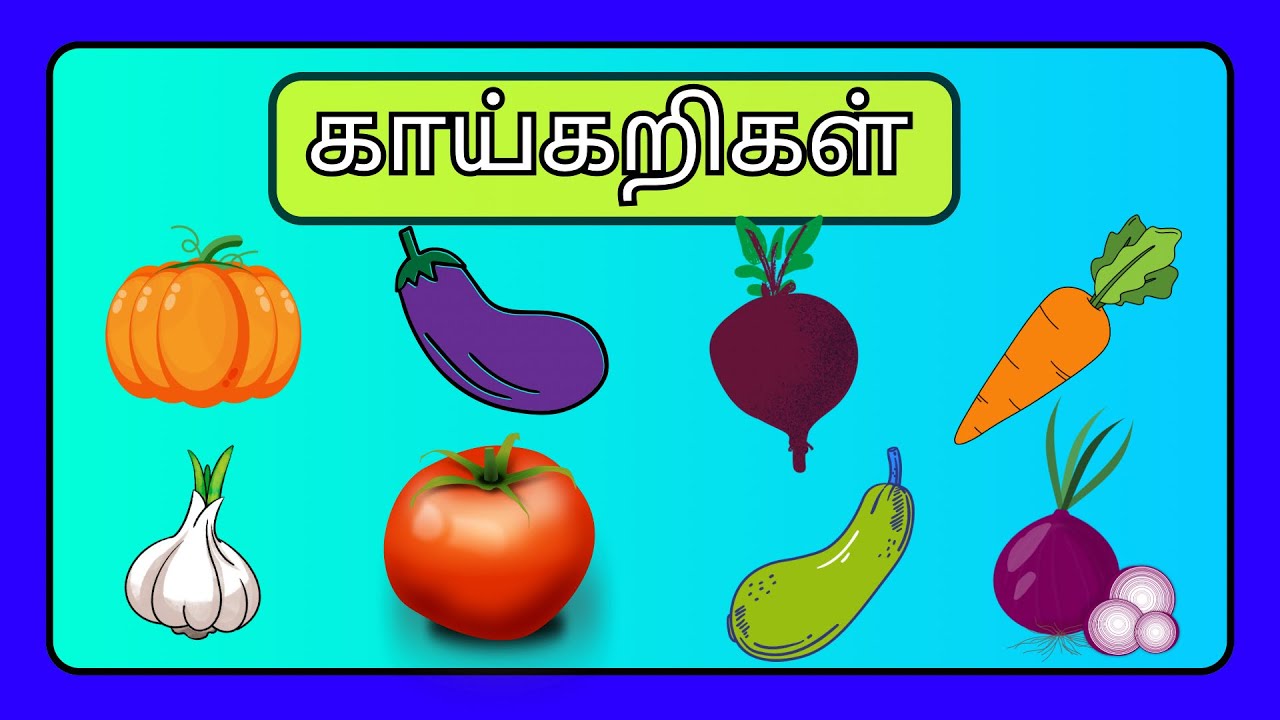 காய்கறிகளின் பெயர்கள்|Vegetables Name In Tamil|Kids learning video ...