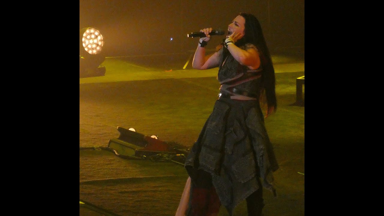 Evanescence performing Bring Me To Life in Cincinatti, Ohio January ...