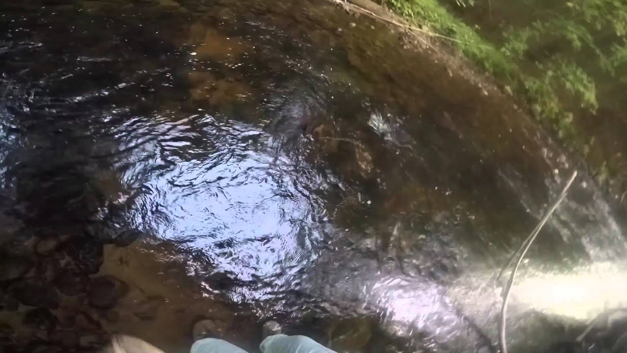 Adirondack Small Stream Fly Fishing - YouTube