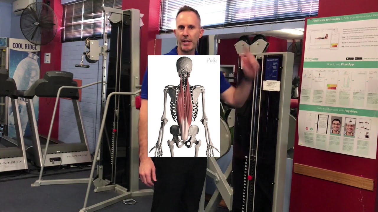 Trunk Extension - YouTube