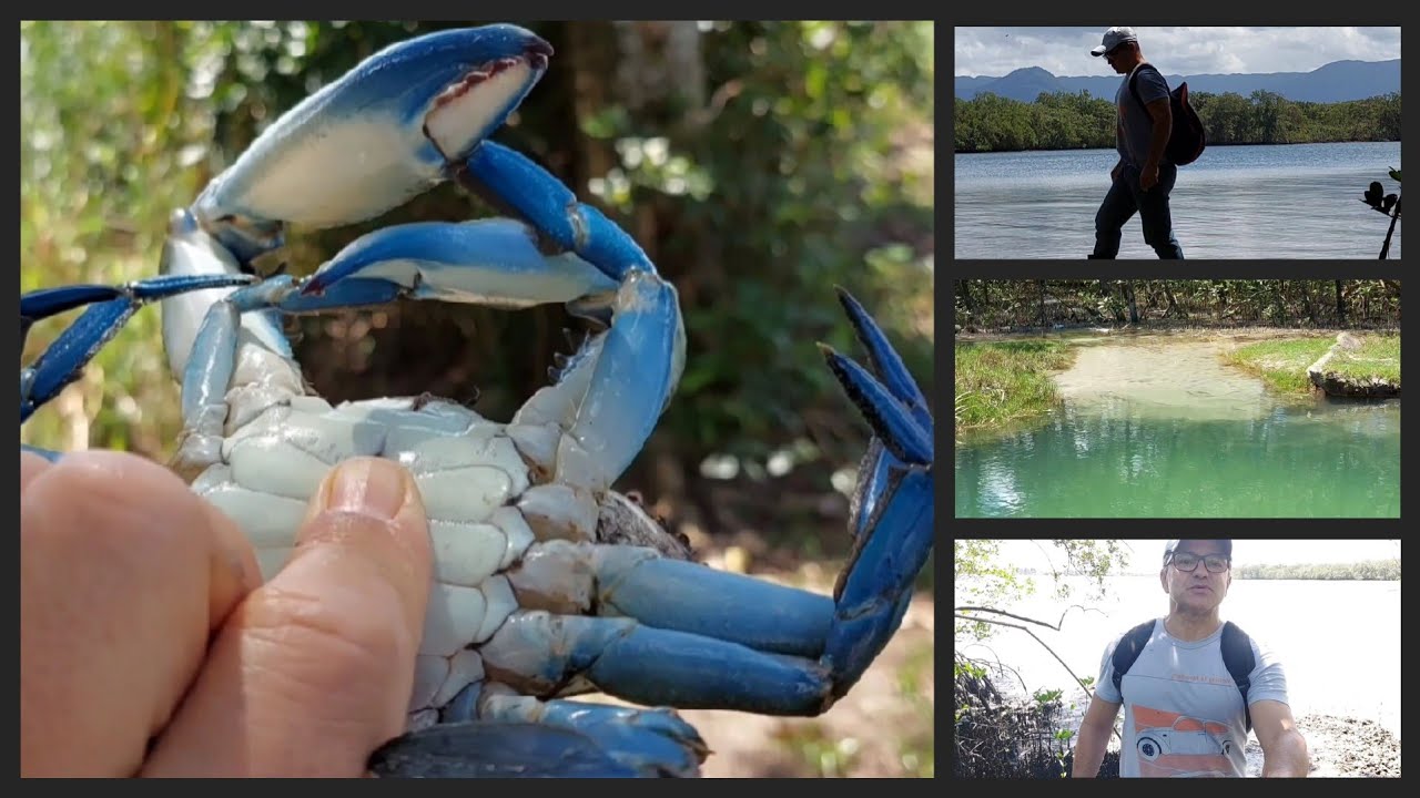 LAGO ESMERALDA NO MANGUE - YouTube