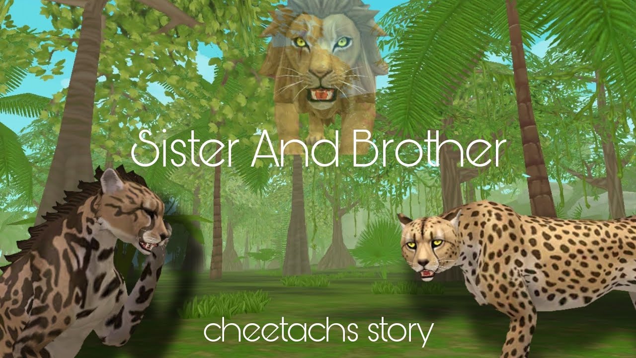 Sister and Brother || Cheetahs story - YouTube