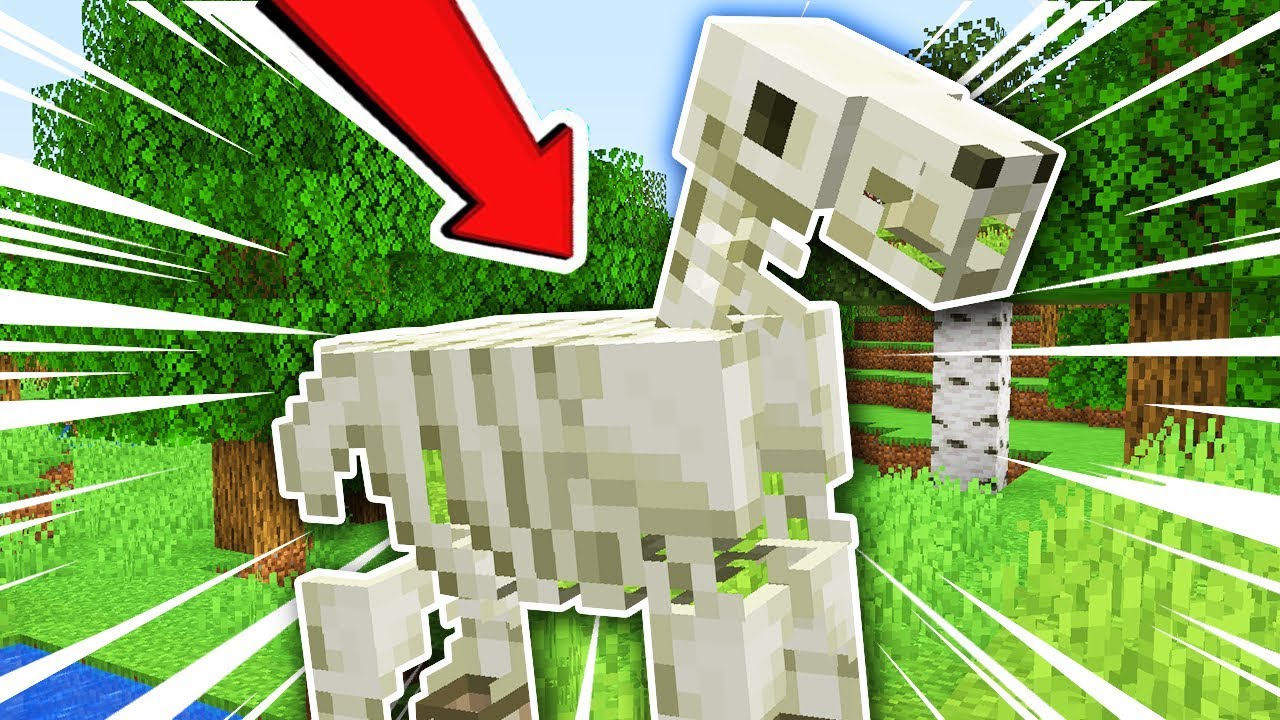 CEI MAI RARI MOBI DIN MINECRAFT!!! *WOW* Minecraft cu Leea - YouTube