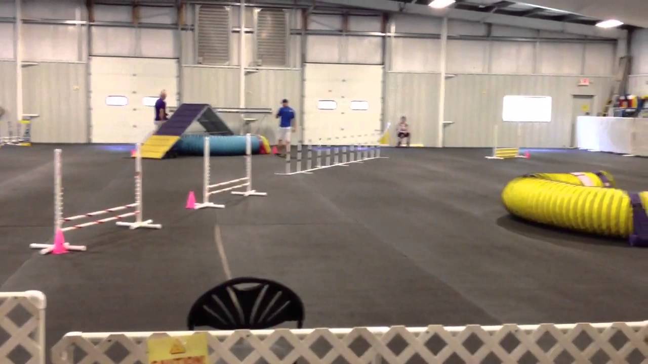 Lexi Standard Level C 7/6/14 - YouTube