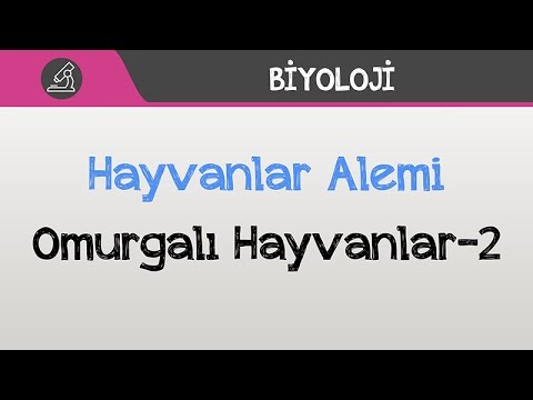 Hayvanlar Alemi - Omurgalı Hayvanlar -2