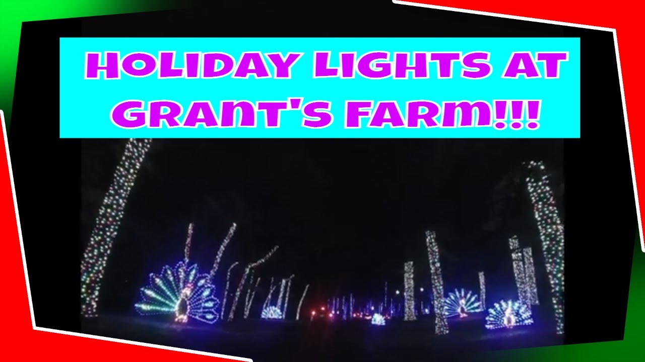 Holiday Lights at Grant's Farm: Drive-Thru Experience/Busch Family ...
