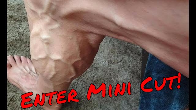 3DMJ Coach Alberto Nuñez - I Want To Be Elite(Summer Shredding) - YouTube