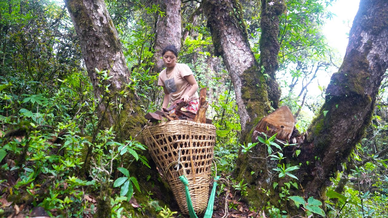 shepherd life of Nepal || manjita's family @manjitacooking - YouTube