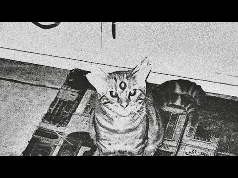 Tom Orrow - pokoj číslo 10 (Visual)
