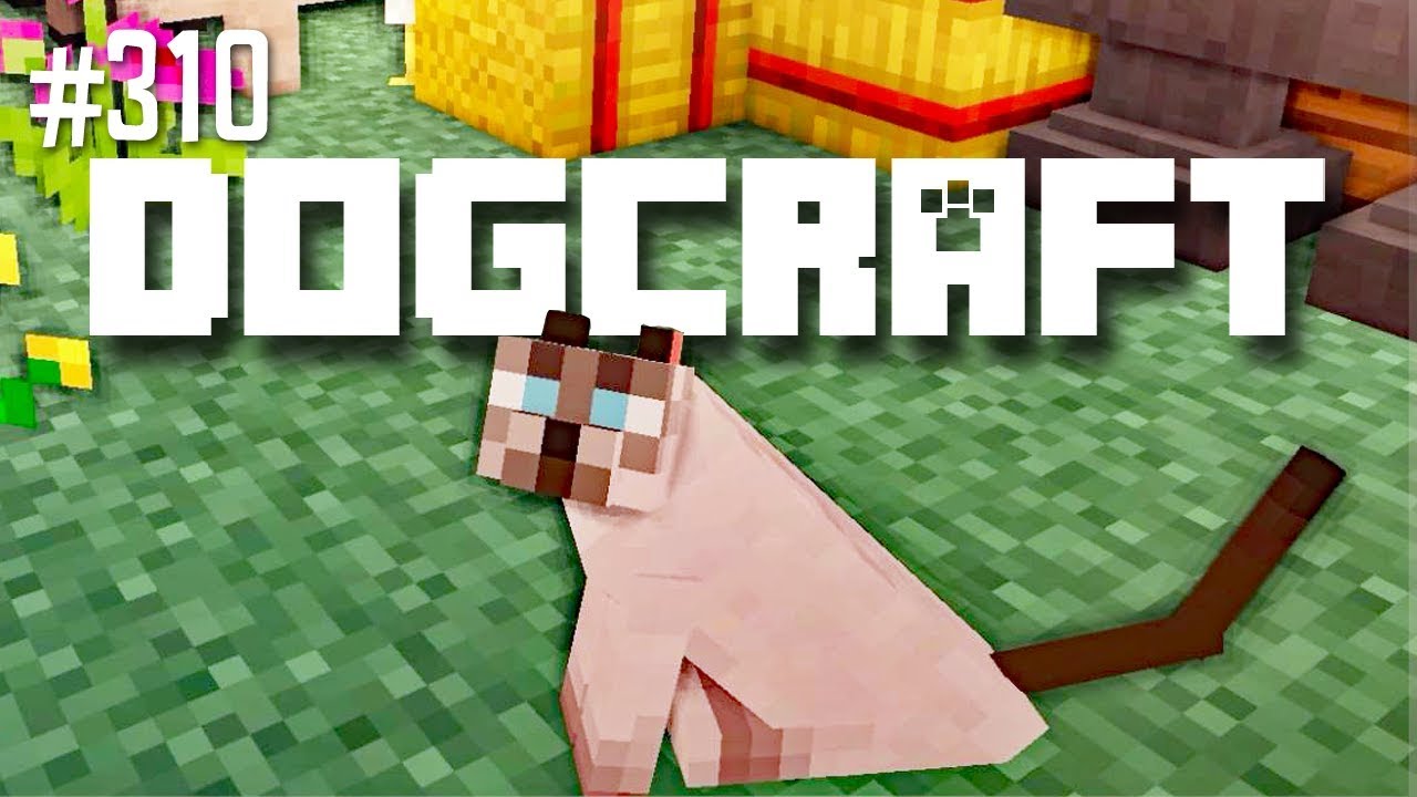 Pipsqueak's Prank | Dogcraft (Ep.310) - YouTube