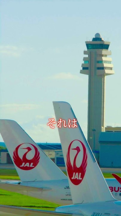 JAL は新たに飛行機を導入！ #飛行機 ＃JAL ＃A321 - YouTube