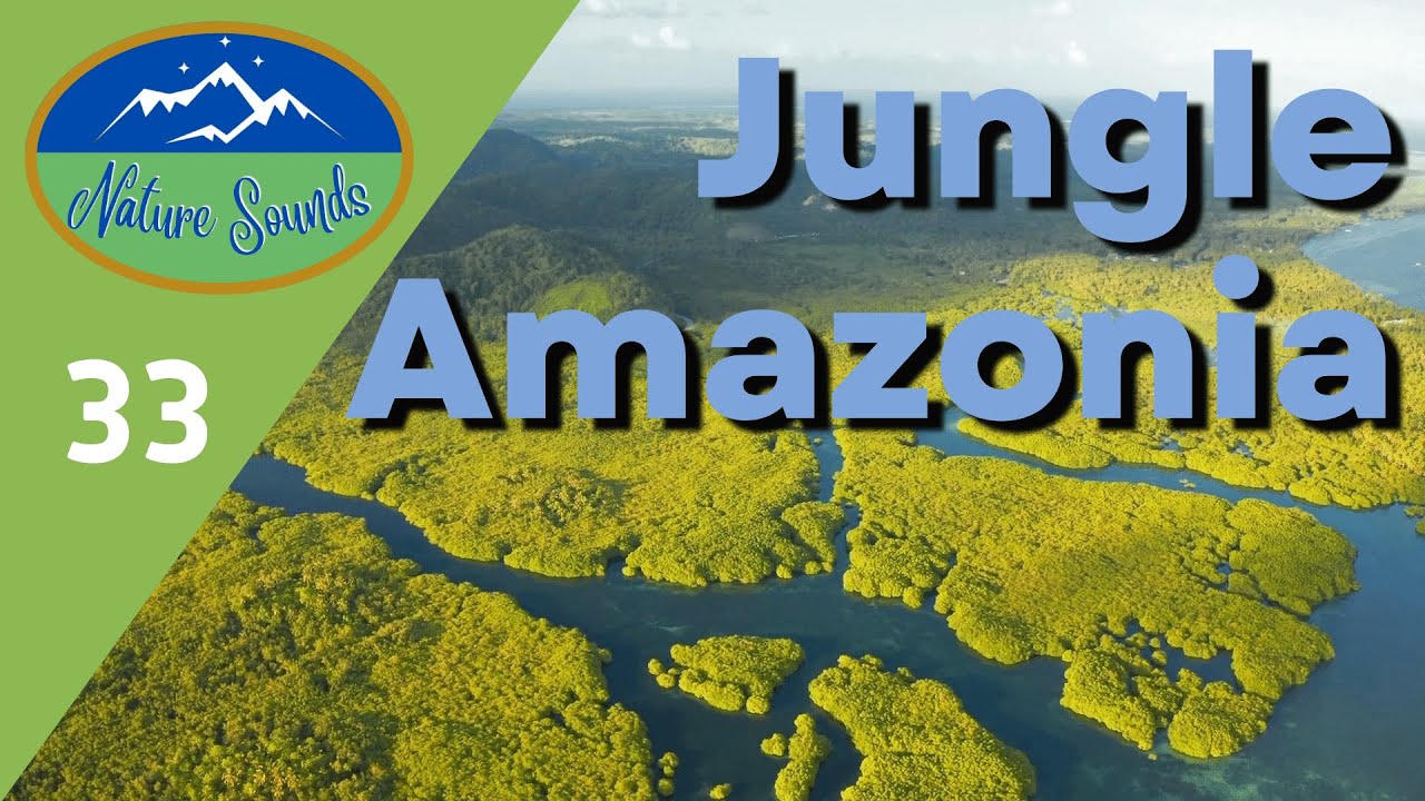 Jungle Amazonia - for relaxation, sleeping and healing (sound therapy ...