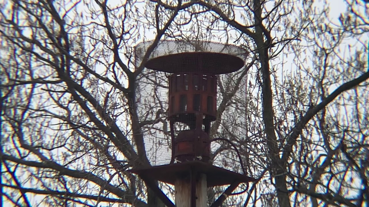 Bagley Wisconsin Decot Red Arrow Model 30 noon whistle - YouTube