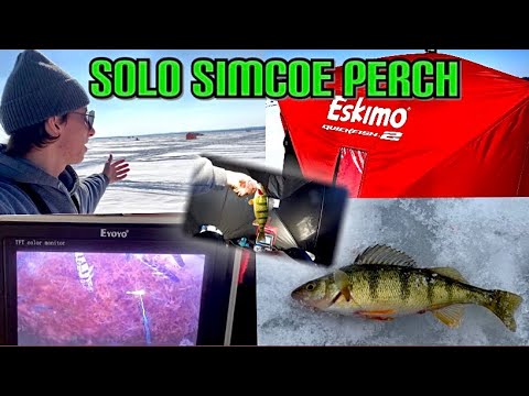 JUMBO PERCH on PIKE DEAD-STICK!! LAKE SIMCOE 2021 ICE FISHING!! - YouTube