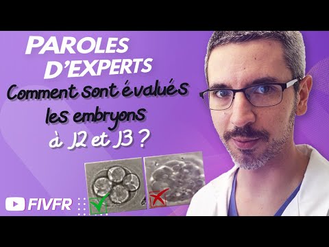 FIV : Comment sont évalués les embryons à J2 et J3 ?