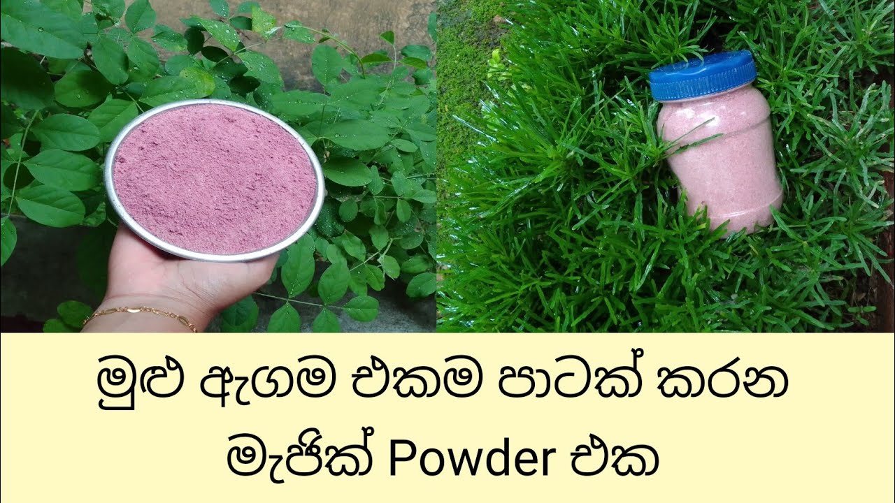 මුළු ඇගම එකම පාටක් කරන මැජික් Powder එක | How to make full body ...
