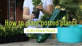 How-To Fill, Plant, Water, and Grow | Al's Flower Pouch