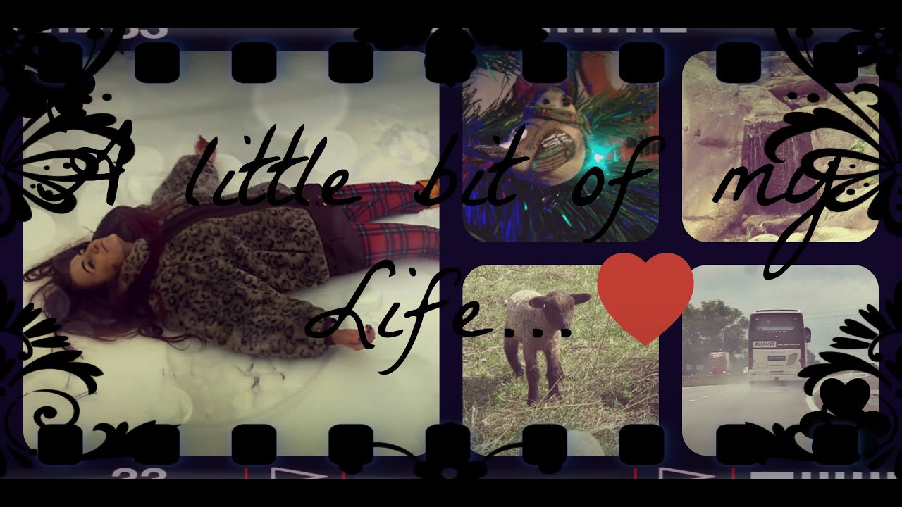 Few days of my life.. Join the journey with me! - YouTube