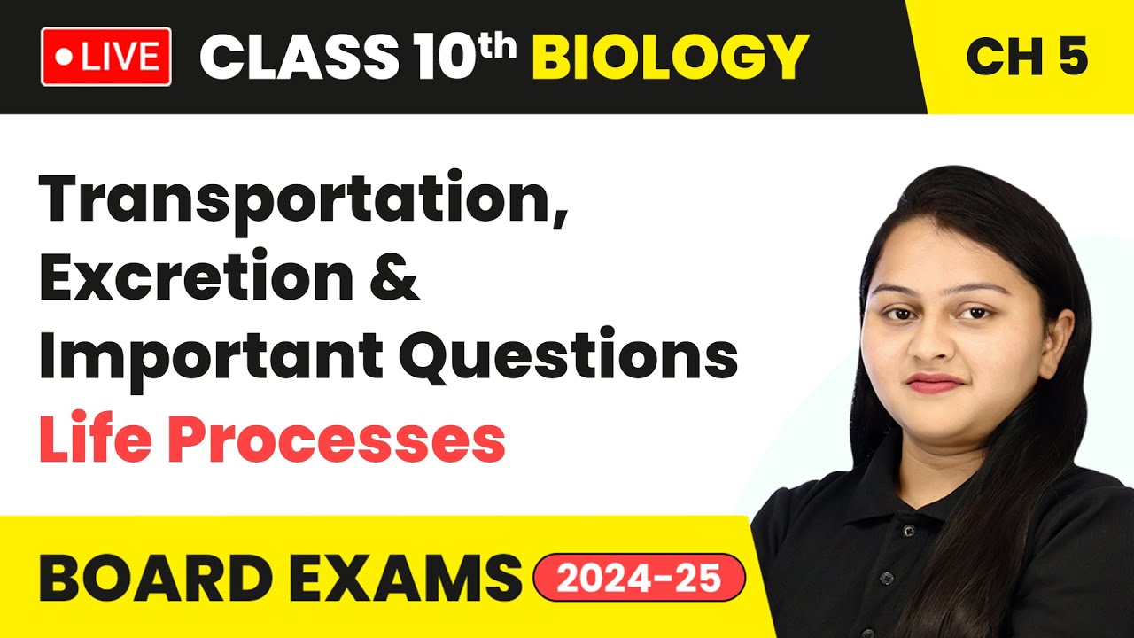 Transportation, Excretion and Important Questions | Class 10 Biology ...