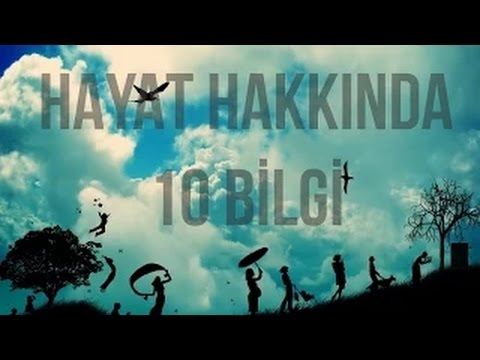 Hayat Hakkında İlginç 10 Bilgi