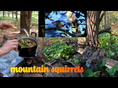 squirrel hunting on the moutain ...Cooking Karen people best squirrel ...