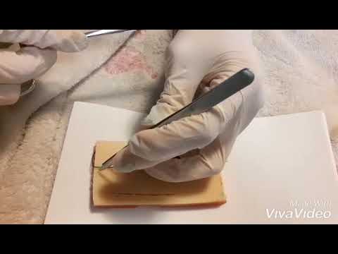 Sutura colchonero horizontal: simple y continuo. - YouTube