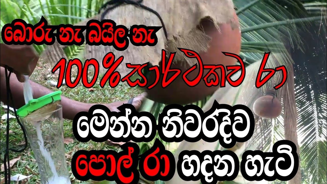 #Toddy tapping - coconut |How to make 100% coconut toddy successfully ...
