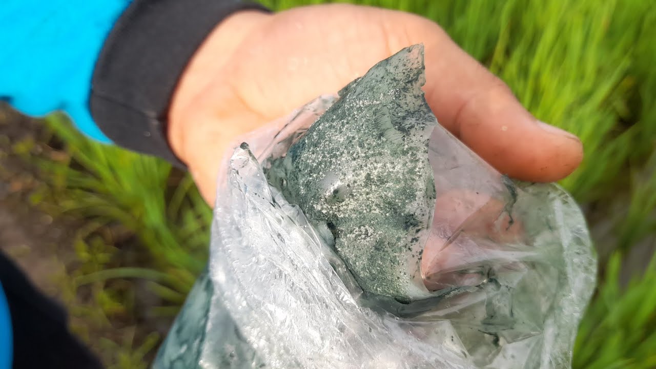 Trichoderma harzianum for the Control of Rice major Soil-borne and Seed ...