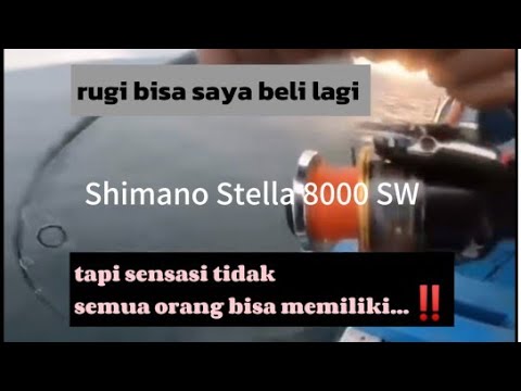 Stella 8000 SW tidak kuat lagi , benang sampai habis #mancing #shimano ...